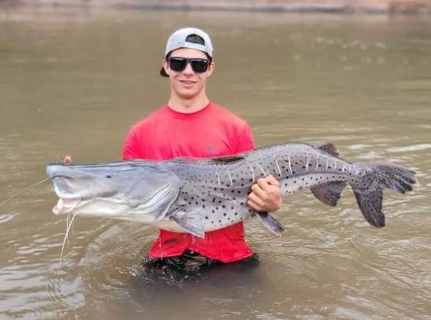 Em sua 1º pesca esportiva jovem captura peixe com mais de 1M e 60kg ...
