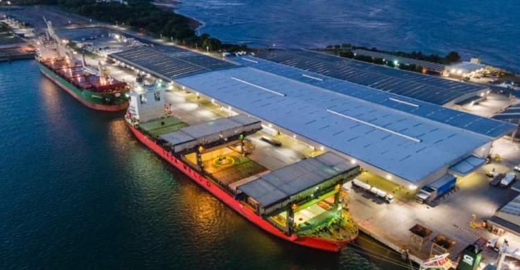 Portocel bate recorde histórico e projeta expansão no Brasil - Hojemais ...